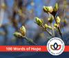 100 Words of Hope: The Power of a Hope-Filled Community | The United ...